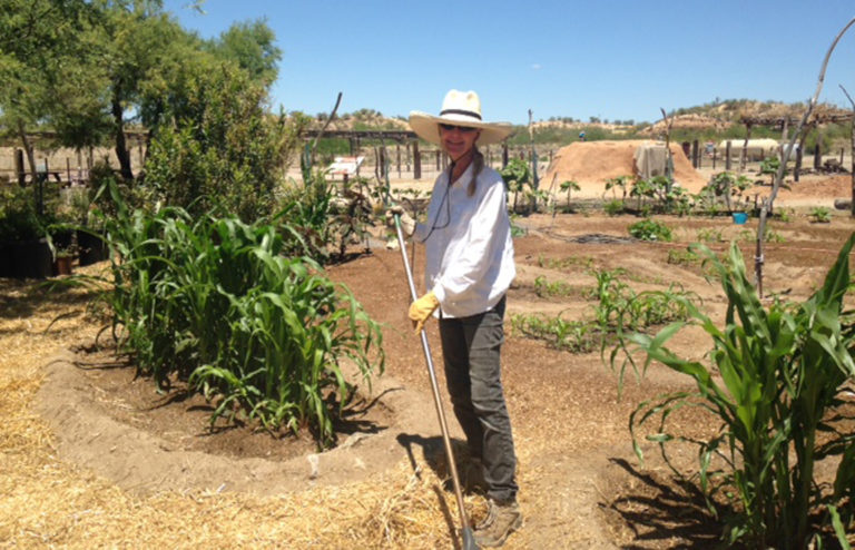 Experimental Archaeology: Traditional Maize Gardening and Grinding ...