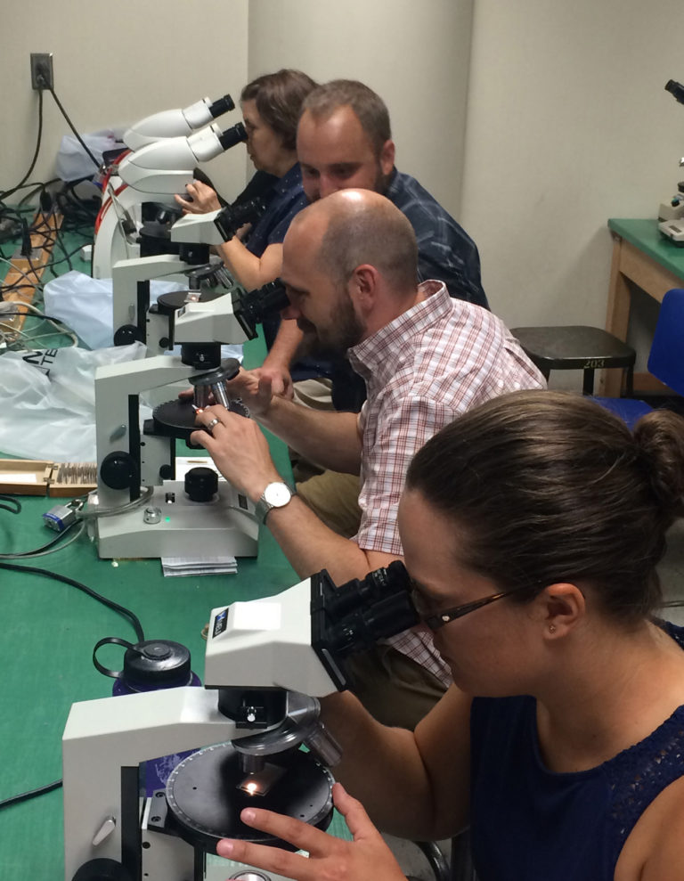 Advancing the Field: Desert Archaeology and the American Ceramic ...